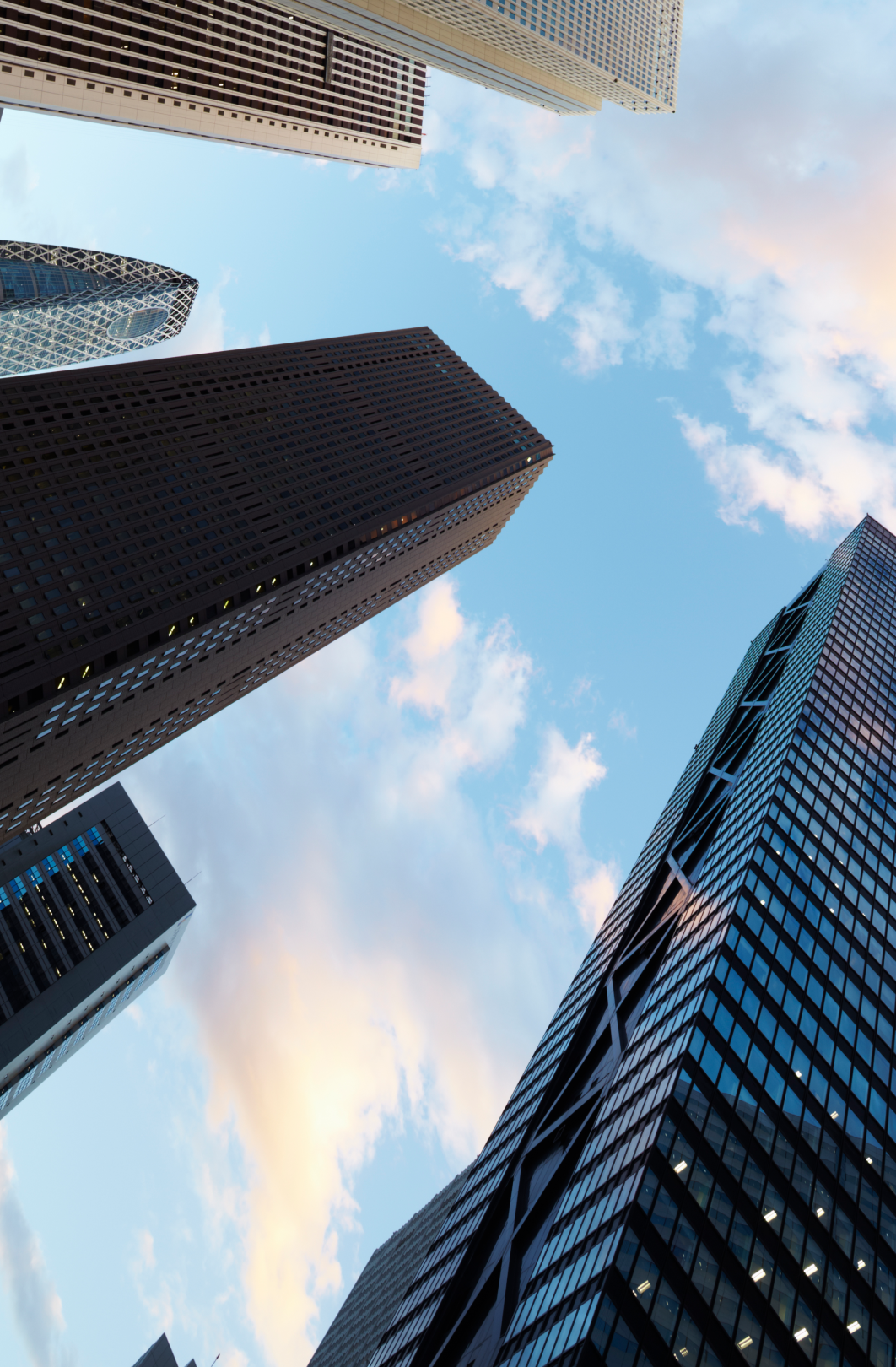 アオラナウ株式会社｜ServiceNow導入を伴うソリューション設計、開発、運用サポート